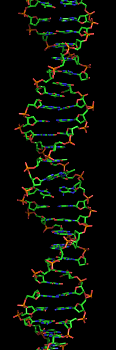 DNA